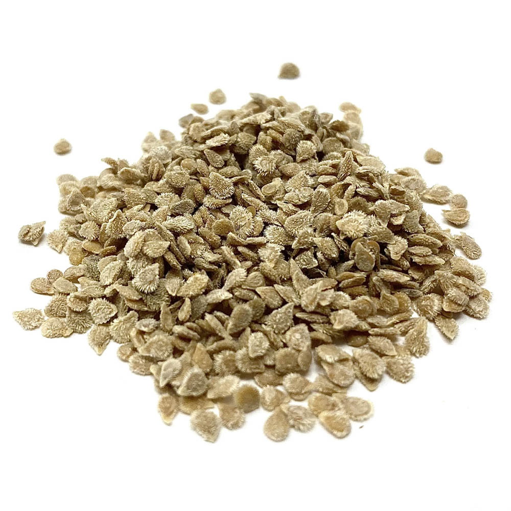 Tomato Seeds Unique Agri Genetics