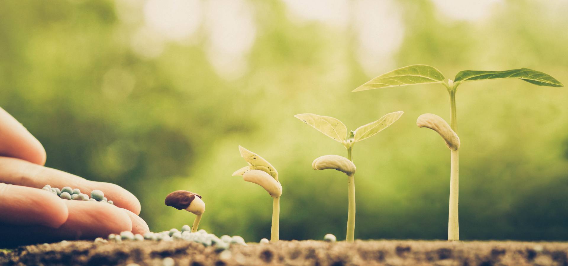 Home - Unique Agri Genetics