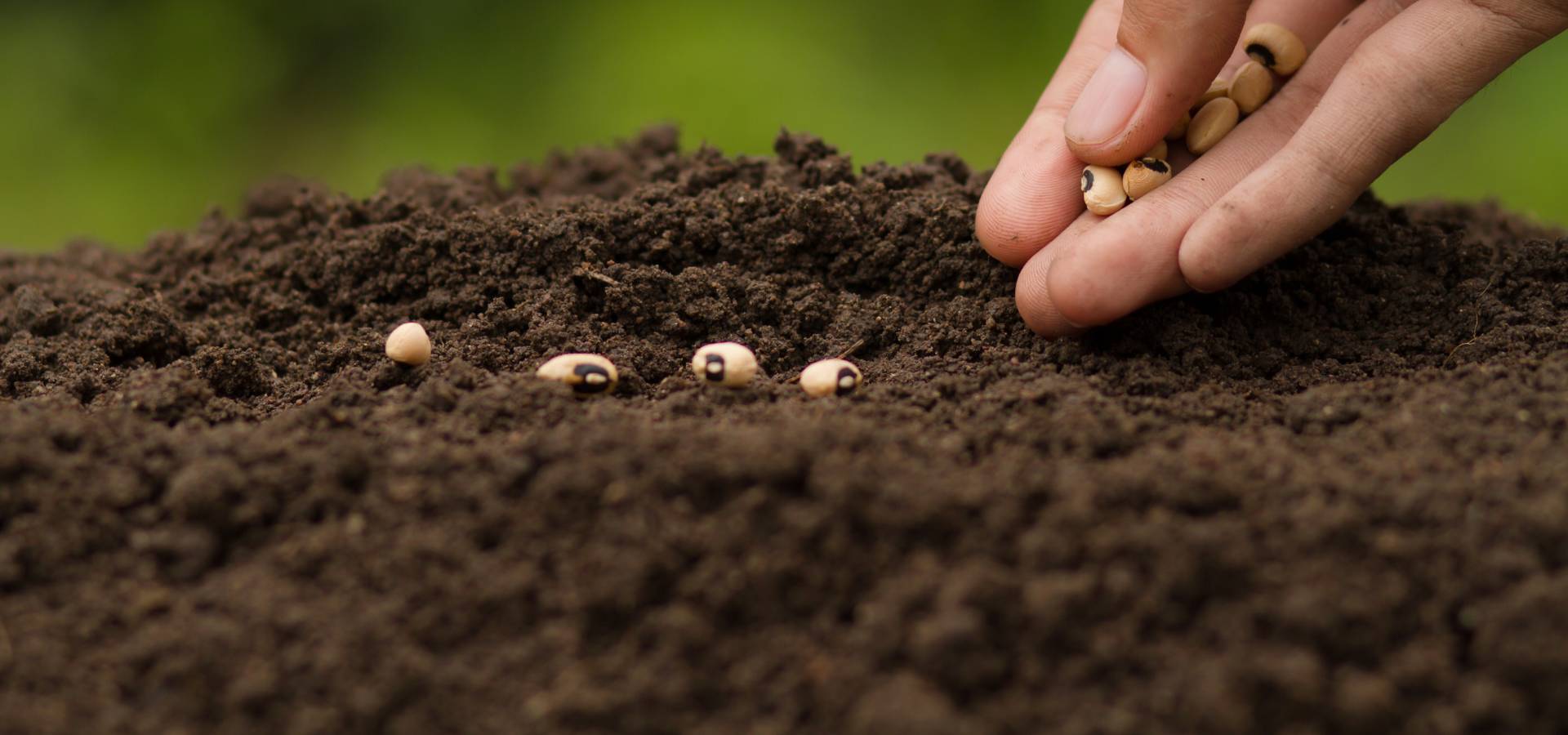 Home - Unique Agri Genetics